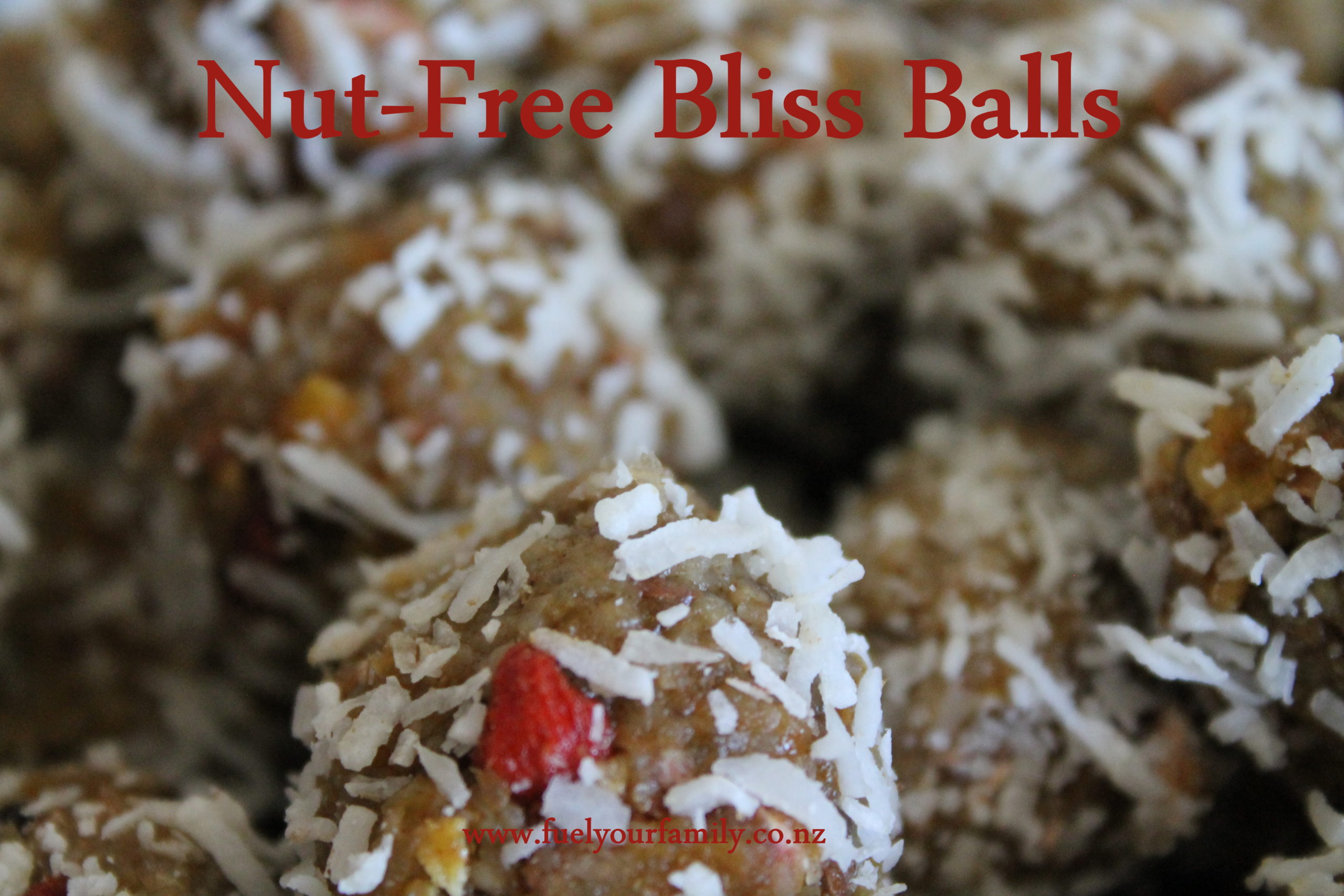 Nut Free Bliss Balls